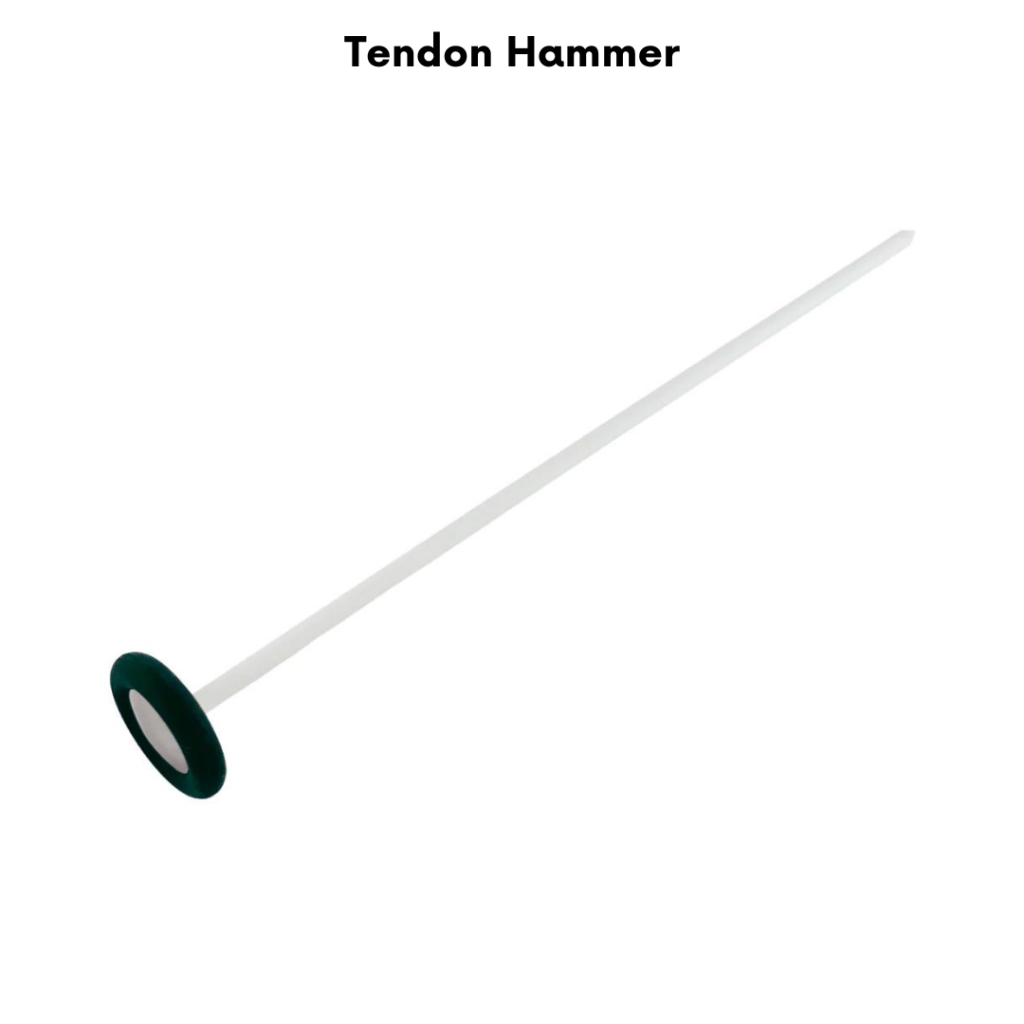 Neurological Diagnostic Tendon Hammer, Queen Square Percussion Hammer with Plastic Handle, Knee ...