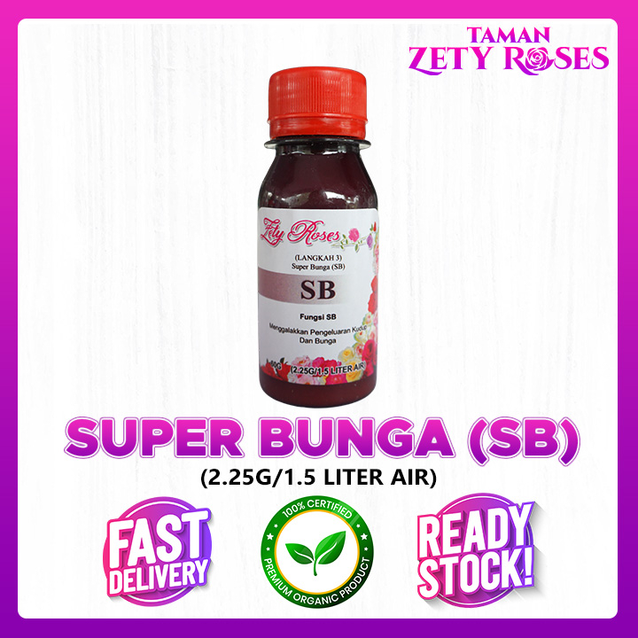 Zety Roses SB Super Bunga Semburan untuk Besarkan Saiz & Warna Bunga ...