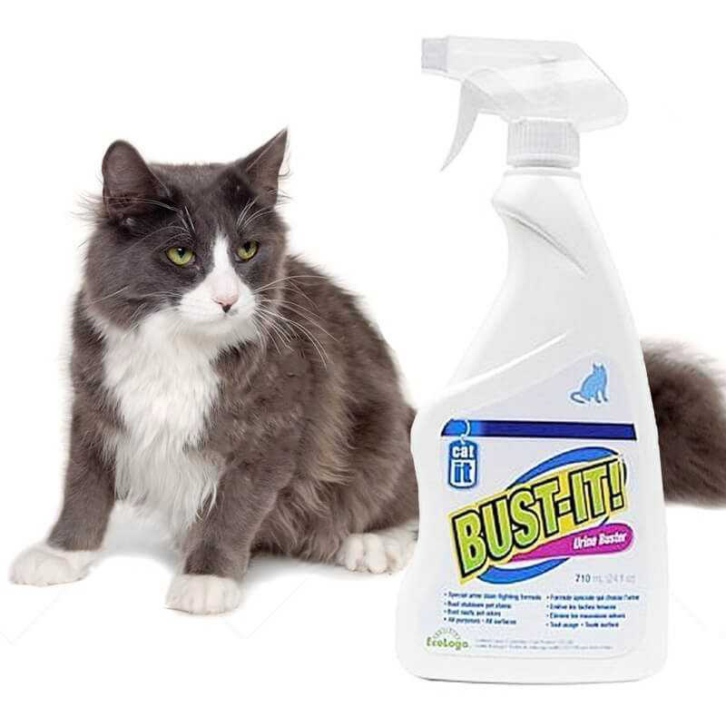 Spray cat Bust IT Urine Stain & Odor Buster [READY STOCK] | Shopee Malaysia