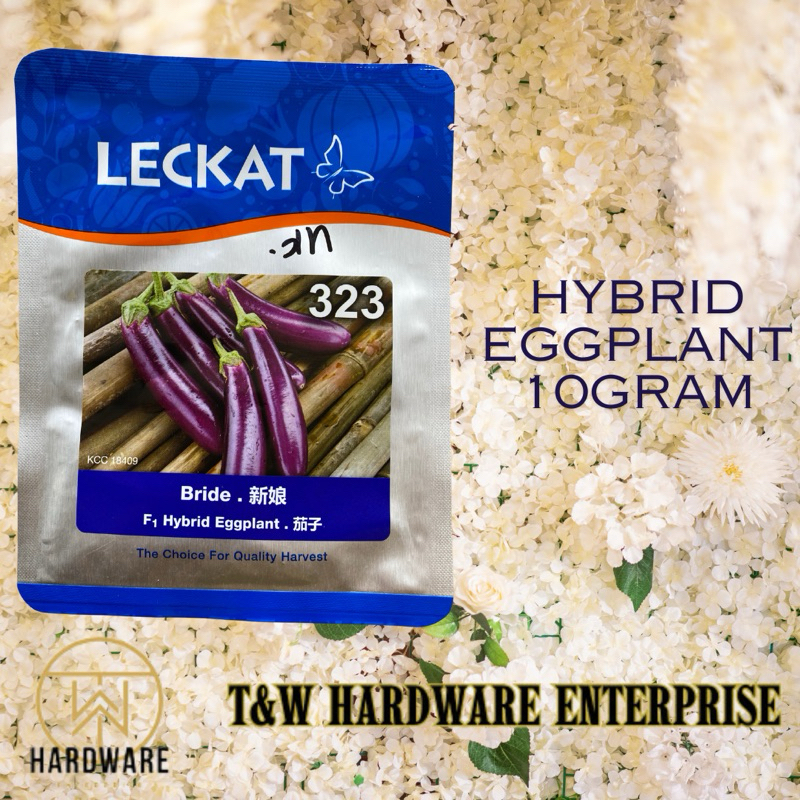 F1 Hybrid Eggplant Leckat | Benih Terung Mini Bride 323 (10g) | Shopee ...