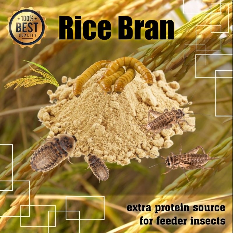 [Ready Stock] Rice Bran for Feeder Insects 500g & 1kg / Animal Feed ...