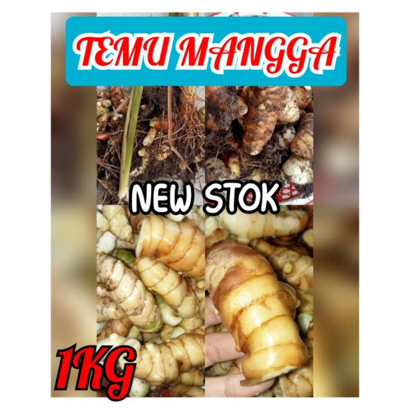 RIZOM TEMU MANGGA/TEMU PAUH 1KG/NEW STOK | Shopee Malaysia