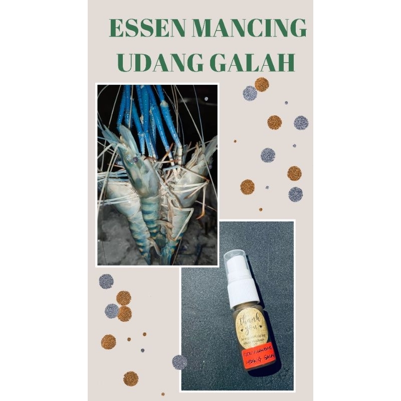SUPER SENSITIVE (BUBU) esen Pemikat UDANG GALAH,belut [Produk Ori Vietnam][5ml] | Shopee Malaysia