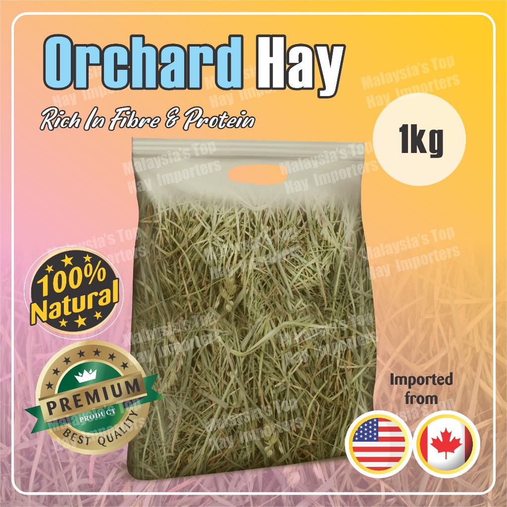Dust Free Premium filtered Timothy / Alfalfa / Orchard imported hay 1kg ...