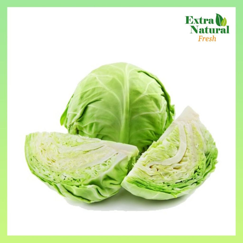 Fresh Round Cabbage 1pcs (+/-1kg) |Fresh Vegetable| [Extra Natural ...