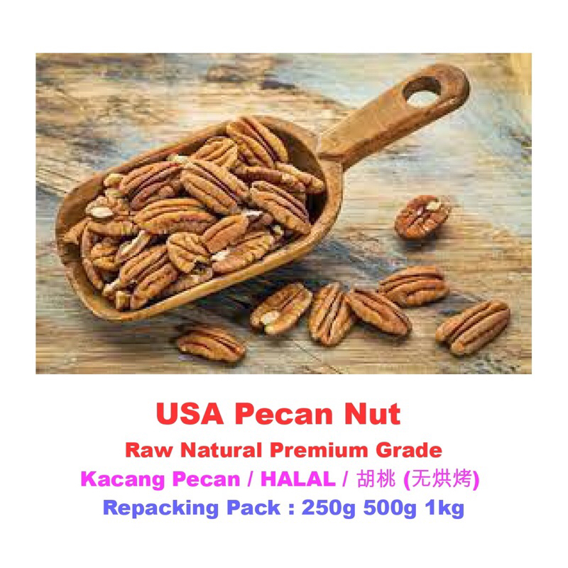 USA Pecan Nut Raw Natural Premium Grade Kacang Pecan / HALAL / 胡桃 (无烘烤 ...