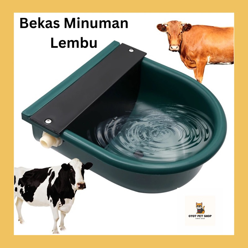 Bekas Minuman Lembu Kambing Kuda Size XXL Automatic Livestock Water ...