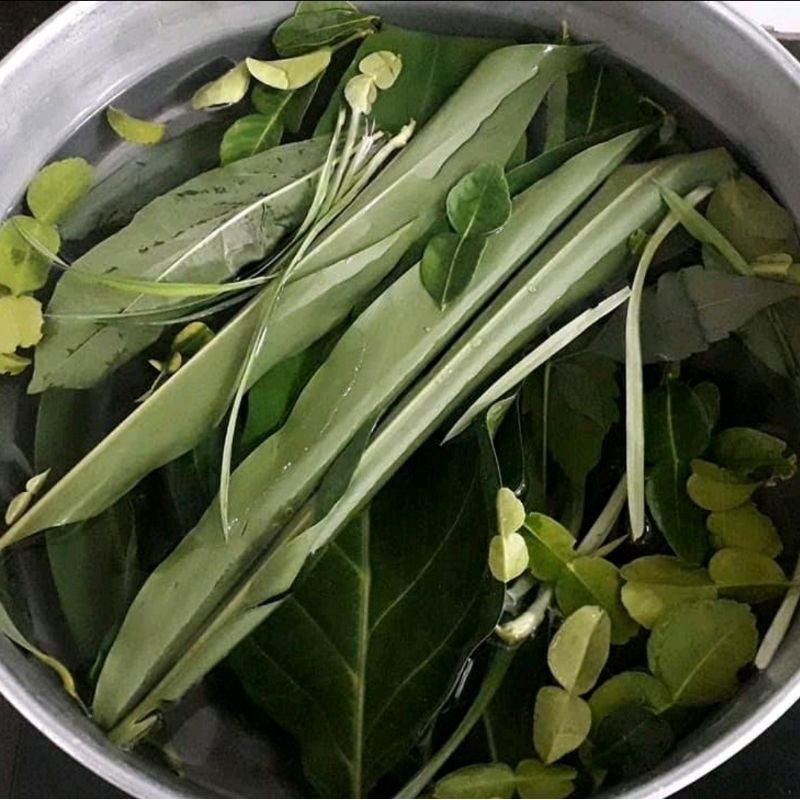 Daun mandian herba berpantang segar 1 ikat 200 g | Shopee Malaysia