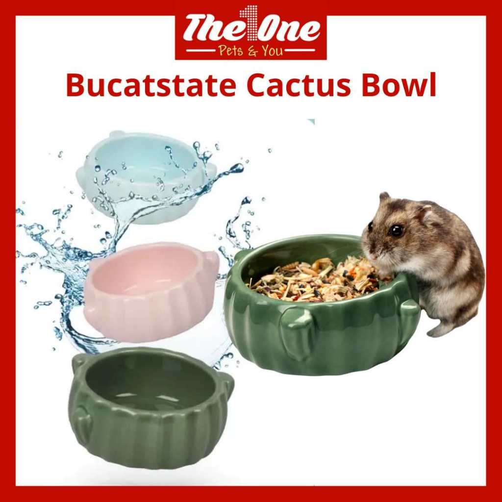 Bucatstate Hamster Cactus Food Bowl Water Bowl Blue and Pink Cactus ...