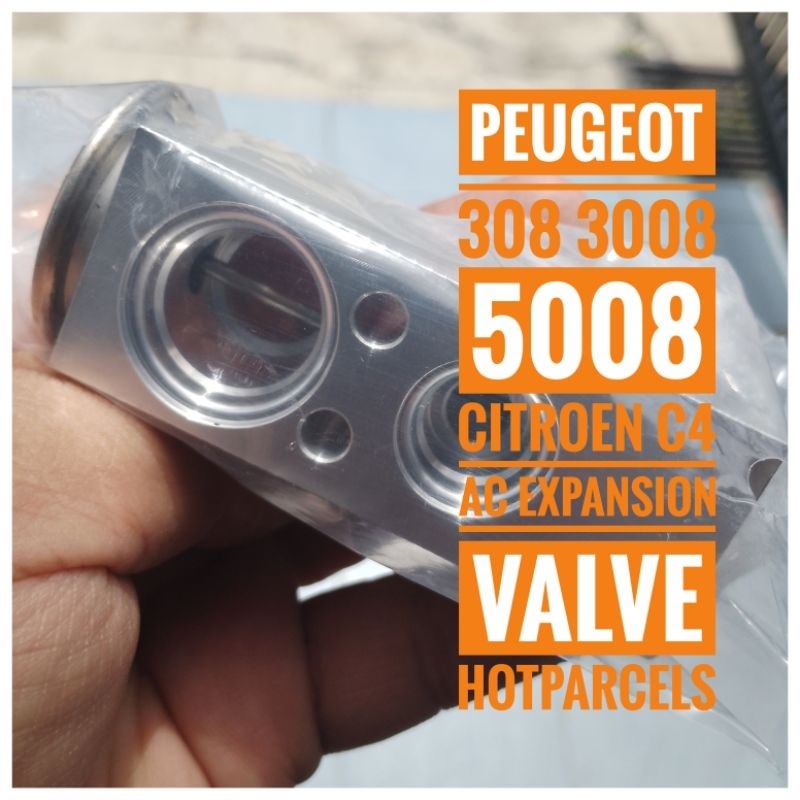 Peugeot 308 3008 5008 Citroen C4 Aircond expansion valve | Shopee Malaysia