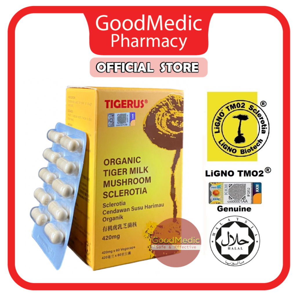 Tigerus Organic LiGNO TMO2 Tiger Milk Mushroom Cendawan Susu Harimau ...
