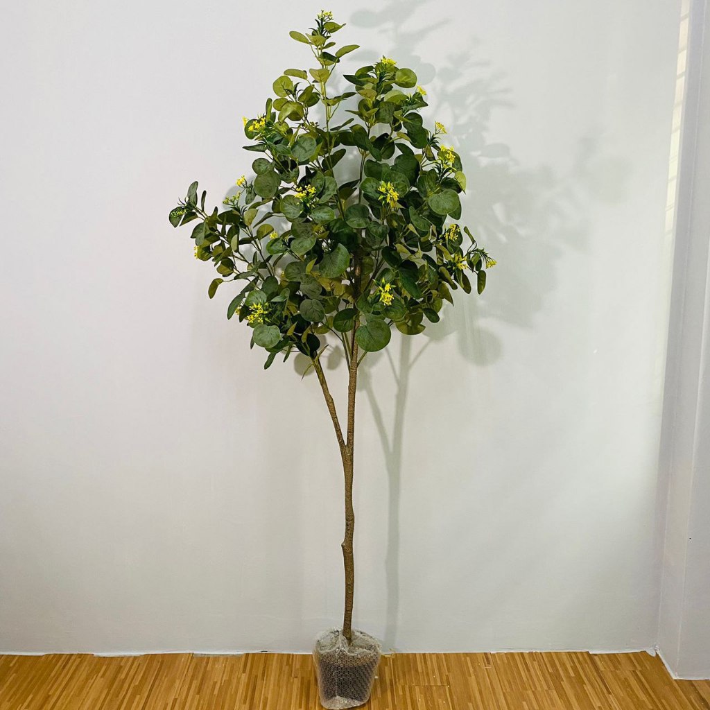 Artificial Eucalyptus Bunga Money Tree Plant Pokok Hiasan 180cm ...
