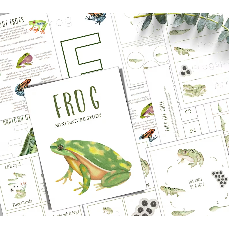 PDF] Frog Unit Study Tadpole Home Learning Kids Printable Montessori ...