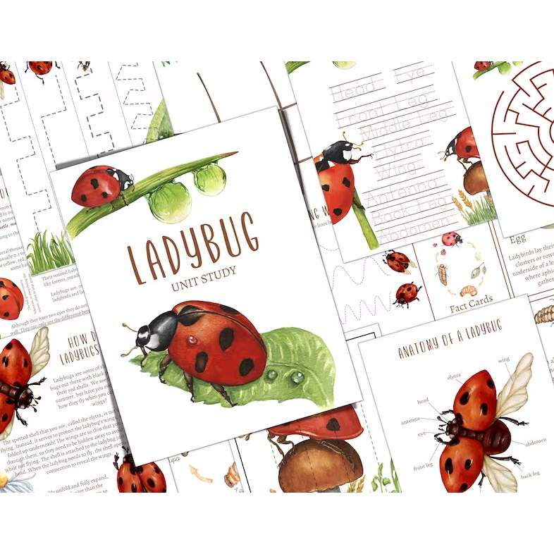 PDF] Ladybug Unit Study Home Learning Kids Printable Montessori Toddler ...