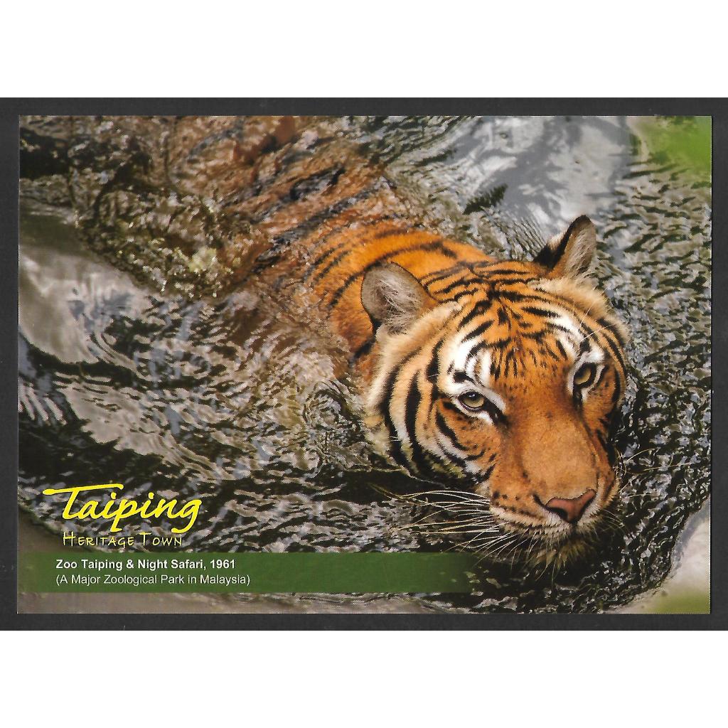 Malaysia Postcard - Taiping Heritage Town Zoo Tiger & Night Safari ...