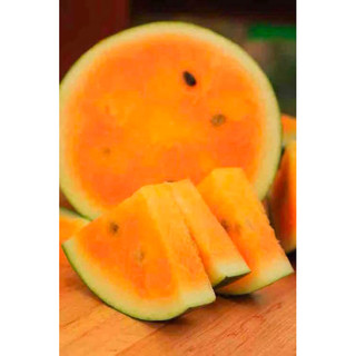 F1 Orange-yellow fleshed watermelon 3 seed | Benih tembikai isi jingga ...