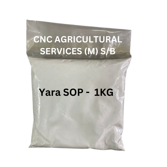 [REPACK] YaraTera Krista SOP 1KG Sulphate of Potash Baja Yara Potassium ...