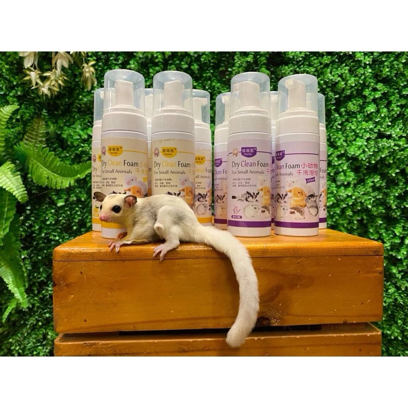 Small animal shampoo *foam type* (sugar glider) (hamster) (hedgehog ...