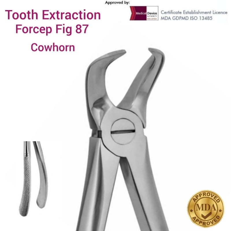 Dental Tooth Extraction Forceps cow horn Fig 87 lower molars Adult ...