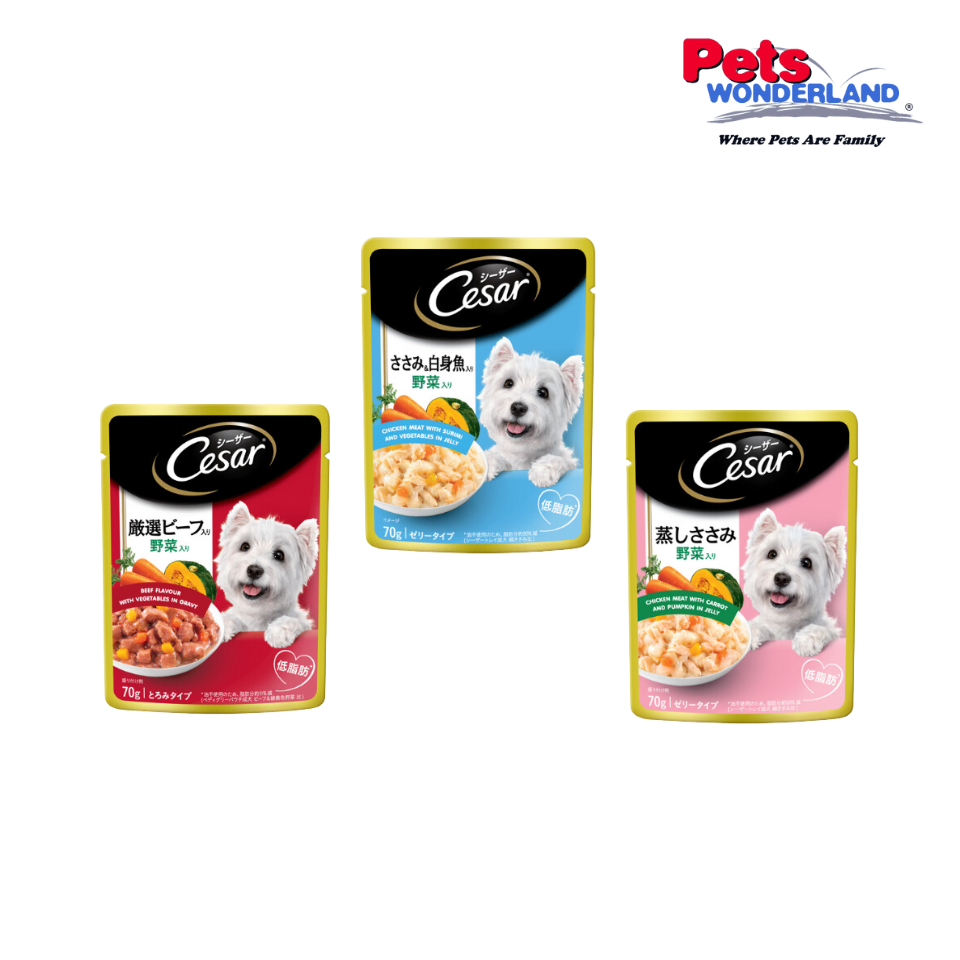 Cesar Dog Variety of Flavors Wet Food (70g/Pouch Pack) | Shopee Malaysia