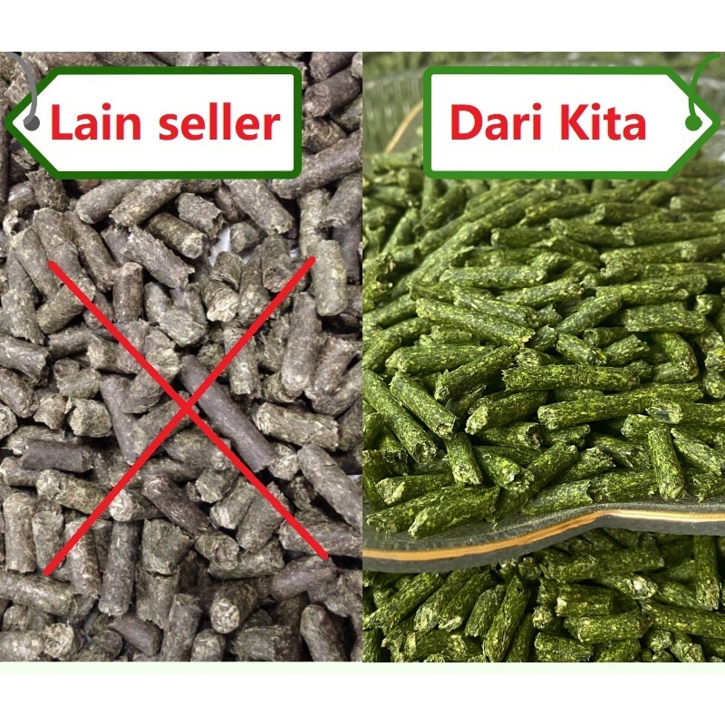 Ship from KL🚚1kg Premium Dust Free Alfalfa Pellet for Rabbit, Guinea ...