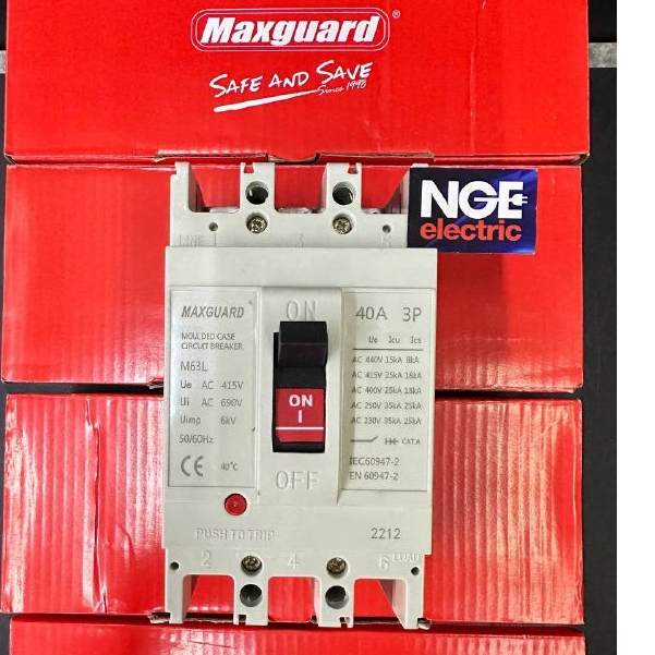 DB| MAXGUARD MCCB 2Pole 25Ka 40A/63A M63L332P | Shopee Malaysia