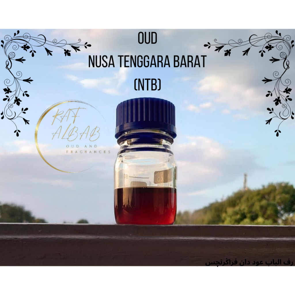 PURE WILD AGARWOOD OUD OIL(RARE SPECIES).MINYAK GAHARU LIAR ASLI ...