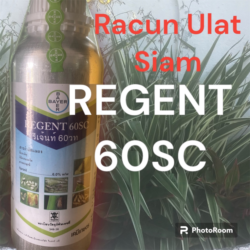 1lit. / Racun Ulat Siam Regent 60SC / Racun Serangga Siam / Mengawal ...