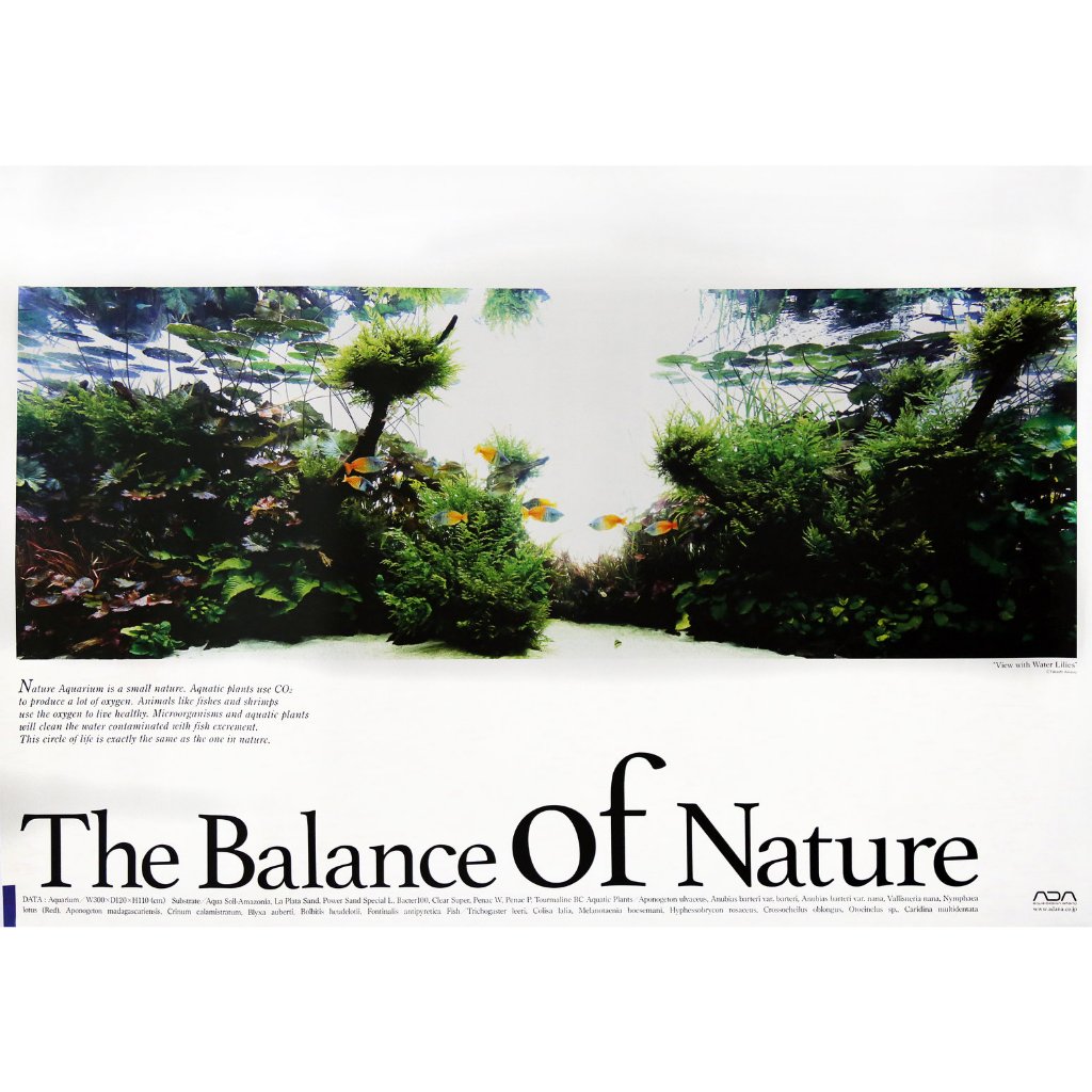 ADA NA Poster (The Balance of Nature Poster) ADA AQUASCAPING GALLERY ...
