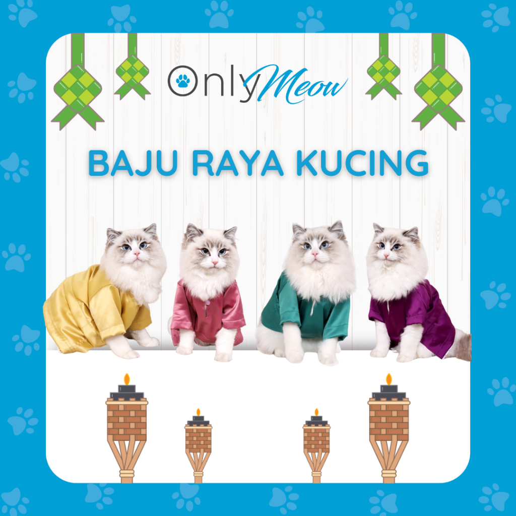 Baju Raya Kucing Cat Shirt Baju Kucing Cat Accessories Barang Kucing ...