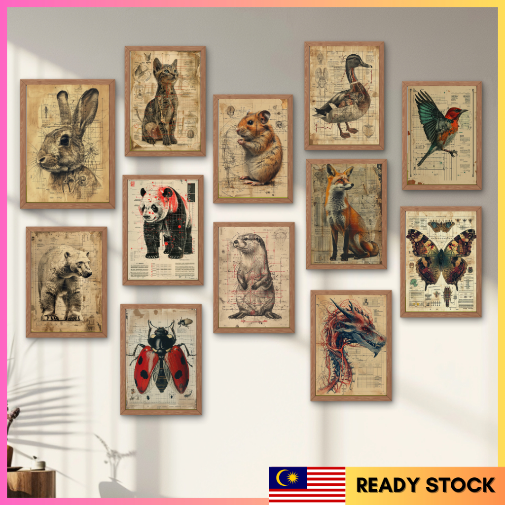 Science Anatomy Animal infographic Vintage Academy Laminated Poster ...