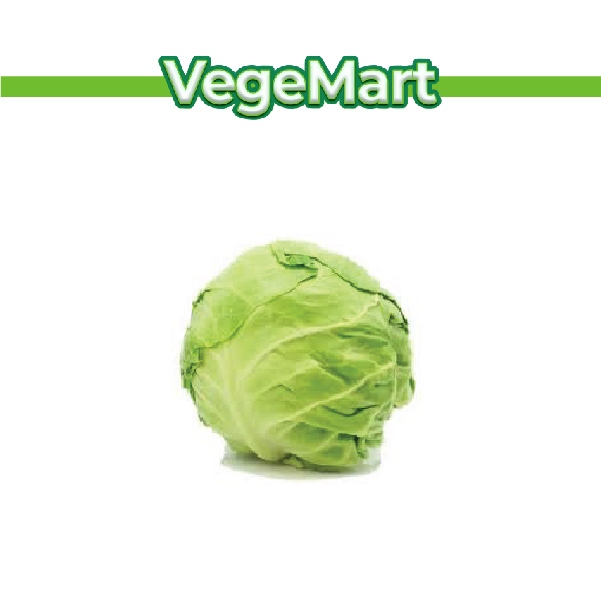 [Fresh Vege] Beijing Cabbage Kobis Beijing 1pcs | Shopee Malaysia