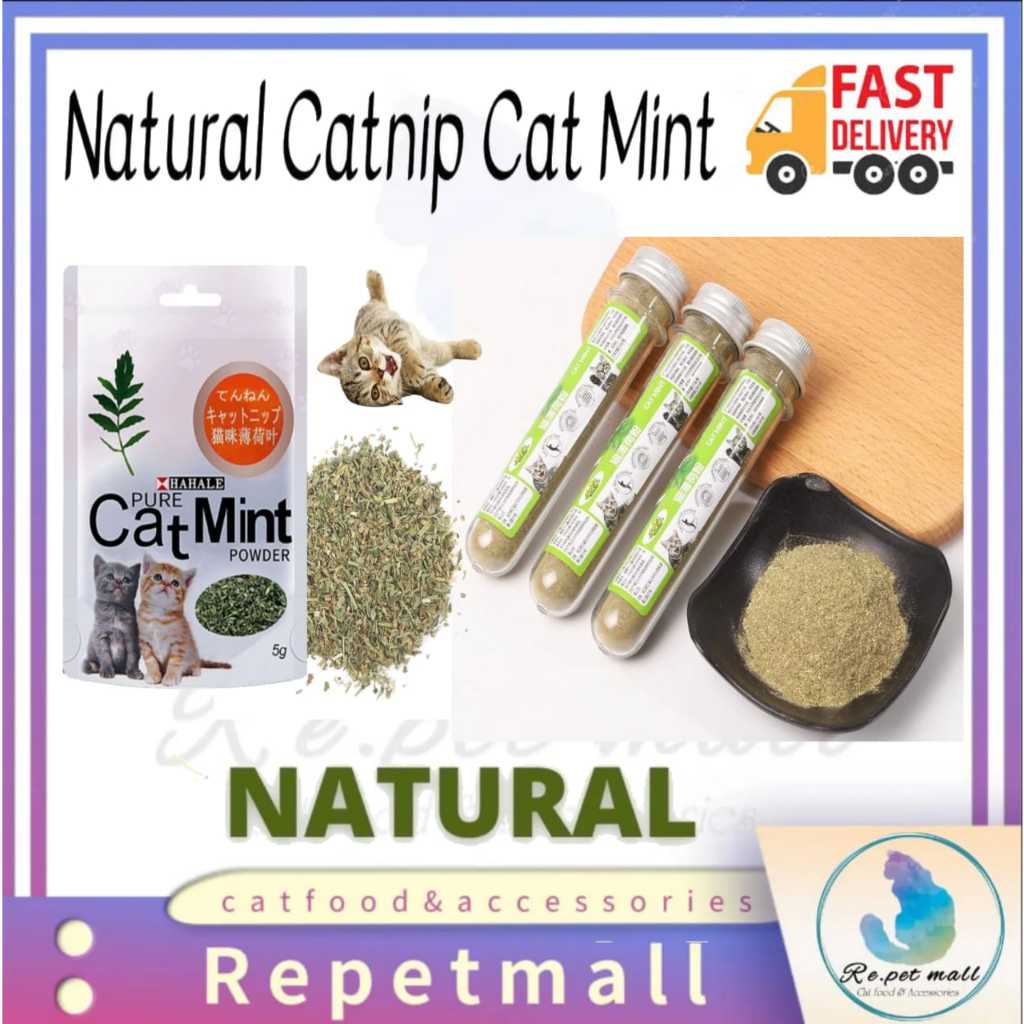 Premium Catnip Cat Mint Powder Tube for Cat Kitten Cat nip Cat Treats ...