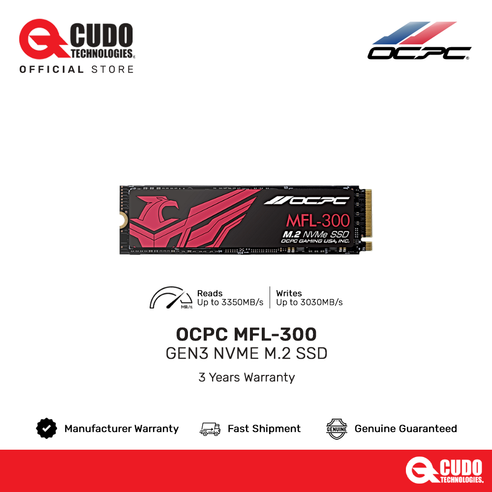 OCPC MFL-300 PCIe Gen 3 M.2 NVMe SSD (256GB / 512GB) | Shopee Malaysia