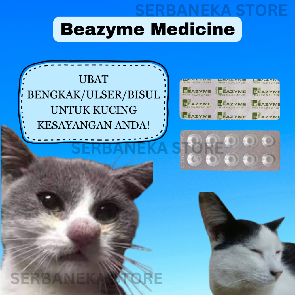 Ubat Kucing untuk Ulcer Mulu & Bisul/Bengkak (1 Papan) | Shopee Malaysia