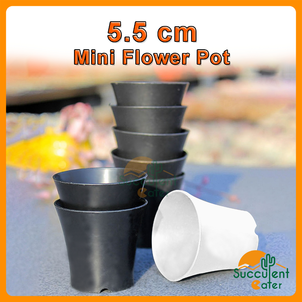 Mini Round Flower Pot Pasu Bunga Kecil 迷你花盆 | Shopee Malaysia