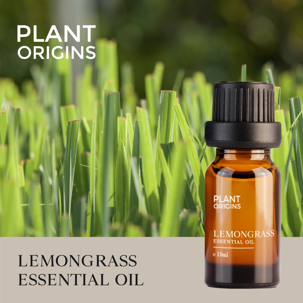 Plant Origins Lemongrass Essential Oil 10ml Shopee Malaysia