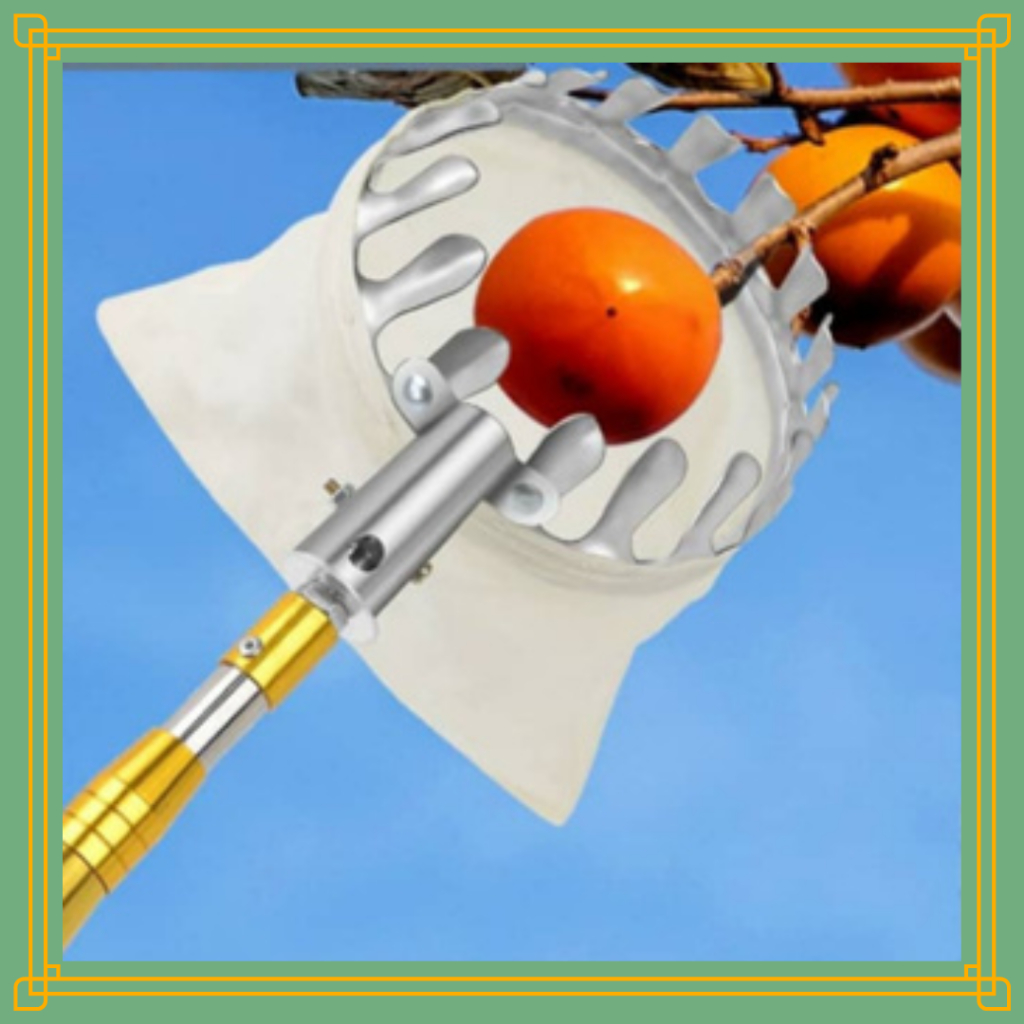 Alat Petik Buah/ Alatan Pertanian/Fruit Picker/Fruit Picking Equipment ...
