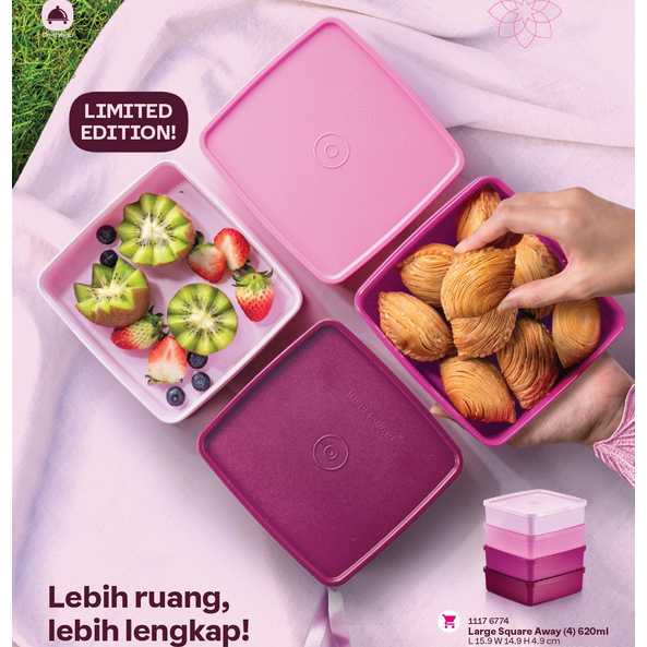 *2pcs/ 4pcs*Tupperware Large Square Away 620ml Lunch Happy Teacher's ...