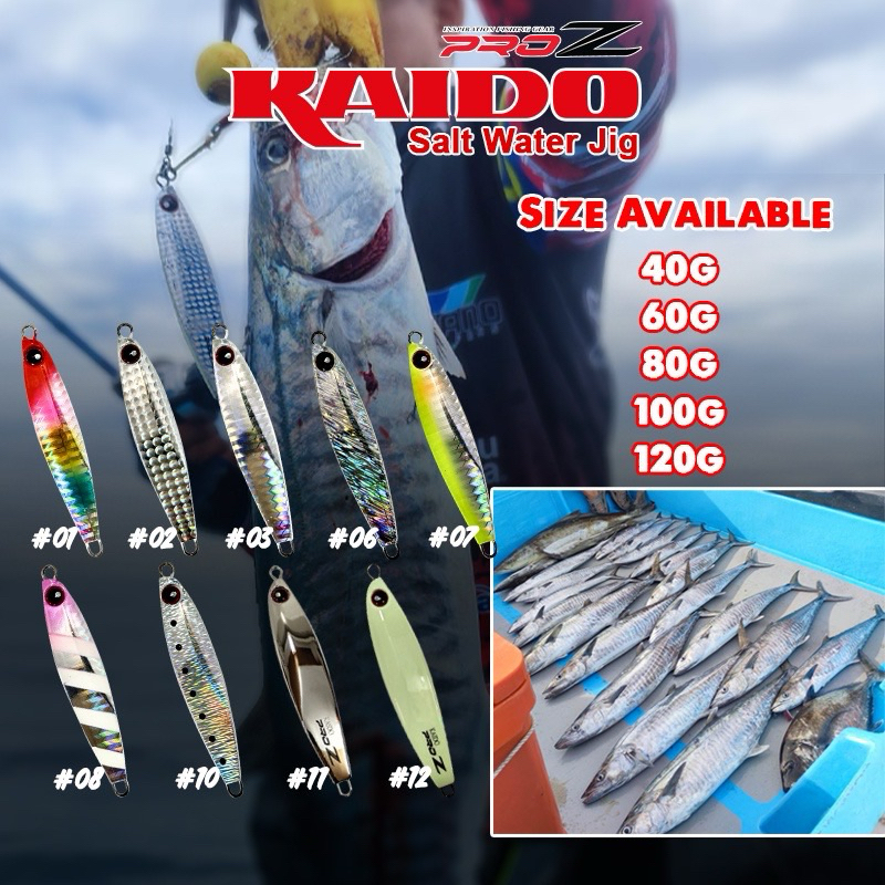 PRO Z KAIDO JIG -40g/60g/80g/100g/120g | Shopee Malaysia