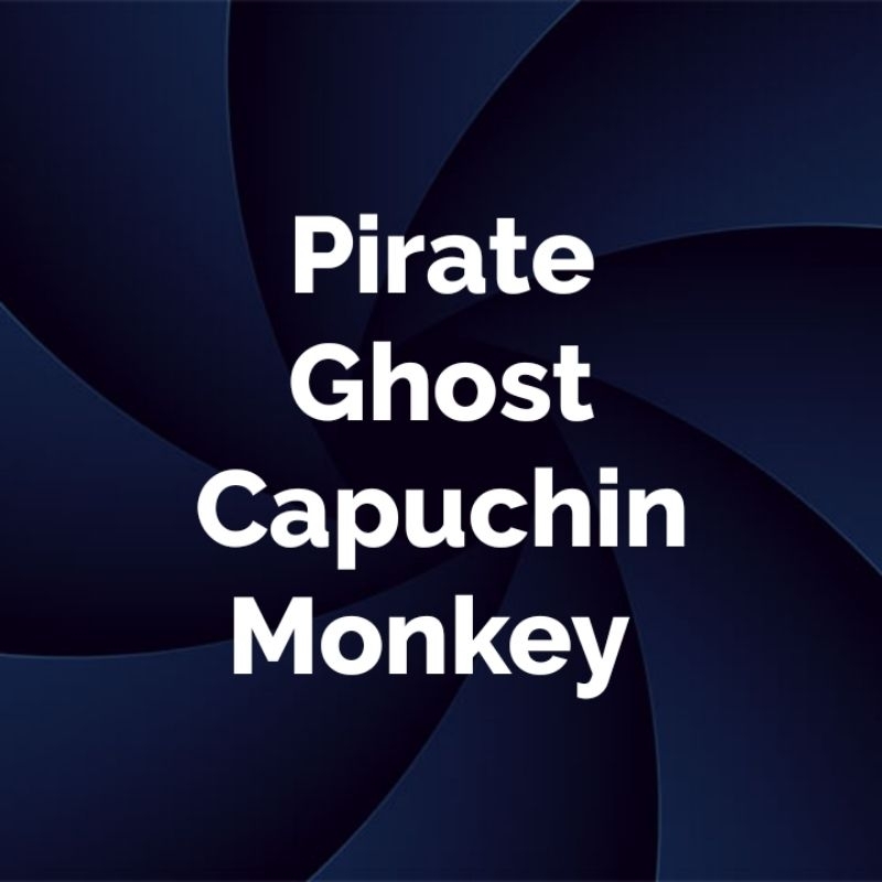 Pirate Ghost Capuchin Monkey | Shopee Malaysia