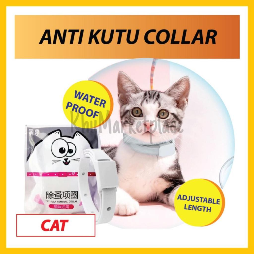 Anti Flea Tick Kutu Mite Cat Dog Prevention Protection Collar ...