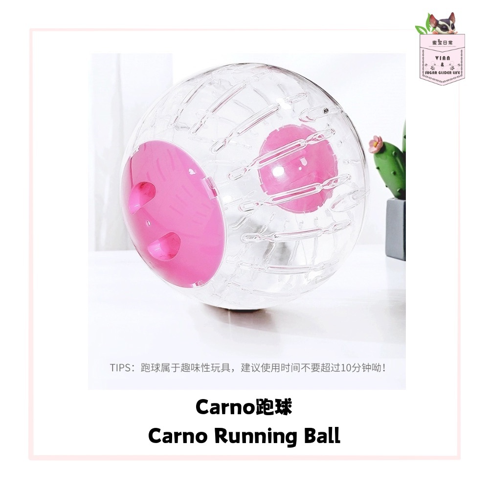 (Ready Stock) Carno Brand Sugar Glider Running Ball / （現貨）Carno牌蜜袋鼯跑球 ...