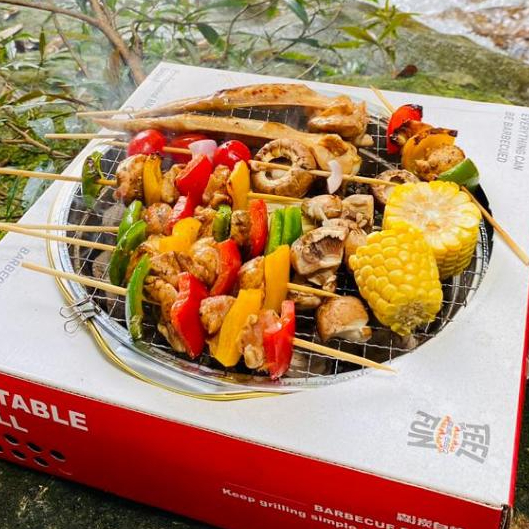 FOREST BBQ BOX Disposable BBQ GRILL indoor/outdoor BBQ Grill Set 1 hour ...