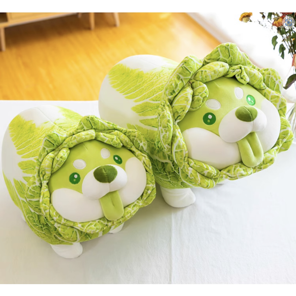 Cabbage Dog doll plush sleeping to give girlfriend birthday new year ...