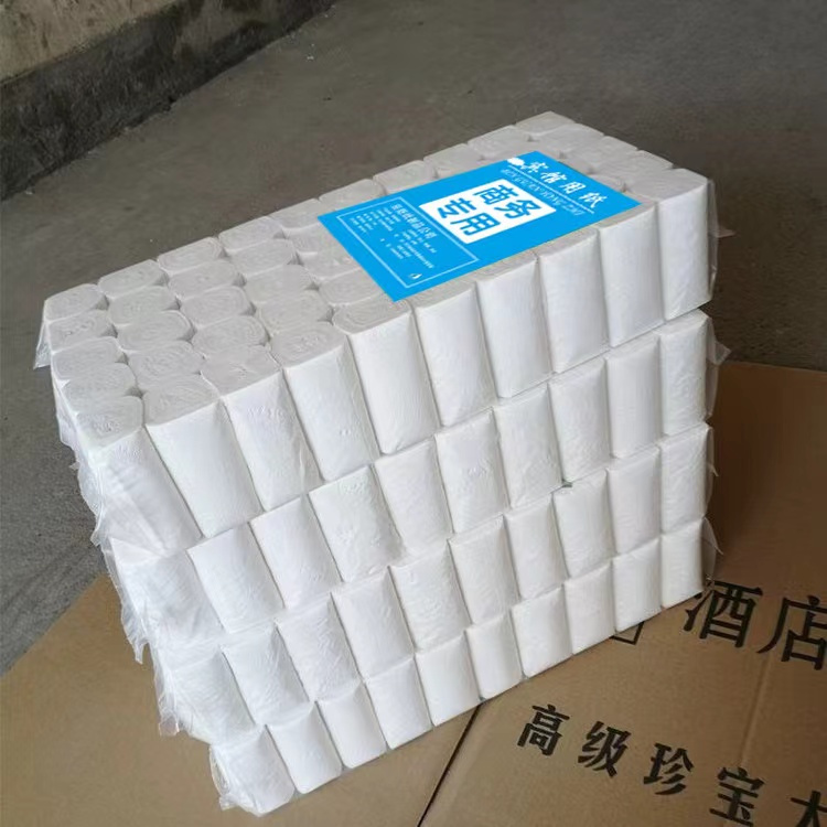 Toilet Paper Roll 100 Rolls (small rolls) Wholesale Bulk Tissue Solid ...