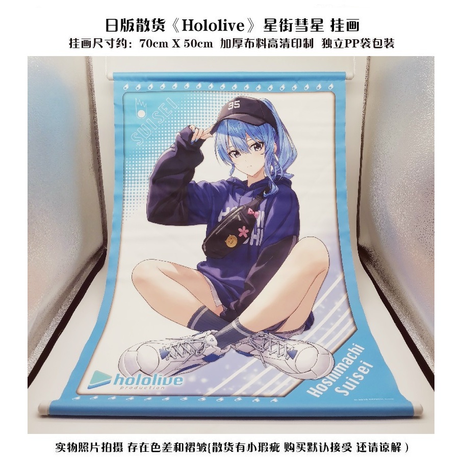 HOLOLIVE JP Generation 0 - Hoshimachi Suisei - Cloth Poster 70cm x 50cm ...