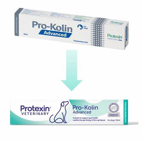 Pro Kolin Advanced Dog 30ml | Shopee Malaysia
