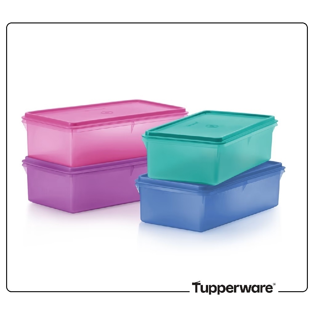 Tupperware Party Keeper Set (2) - Multi Color | Shopee Malaysia