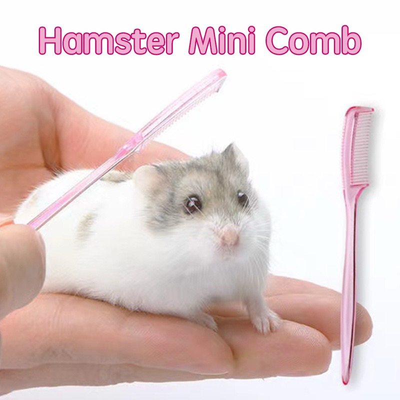 A136Mini comb for hamsters to comb their hair and remove hair for ...